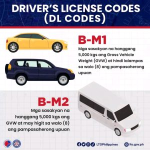 Understanding LTO Driver’s License (DL) Codes - LTMS PORTAL PH