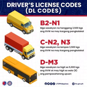 Understanding LTO Driver’s License (DL) Codes - LTMS PORTAL PH