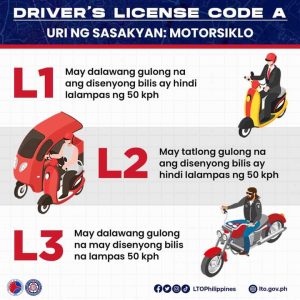 Understanding LTO Driver’s License (DL) Codes - LTMS PORTAL PH