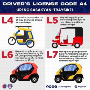 Understanding LTO Driver’s License (DL) Codes - LTMS PORTAL PH