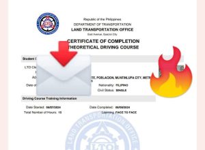 LTO TDC: Theoretical Driving Course - LTMS PORTAL PH