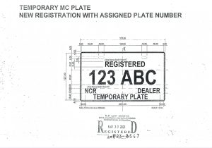 LTO Authorization for Temporary Plates: Understanding the Rules and ...