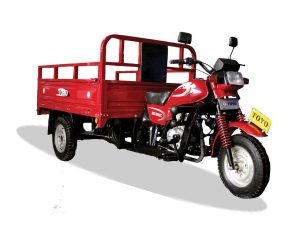 A Complete Guide to LTO Driver’s License Codes (DL Codes) and Condition ...