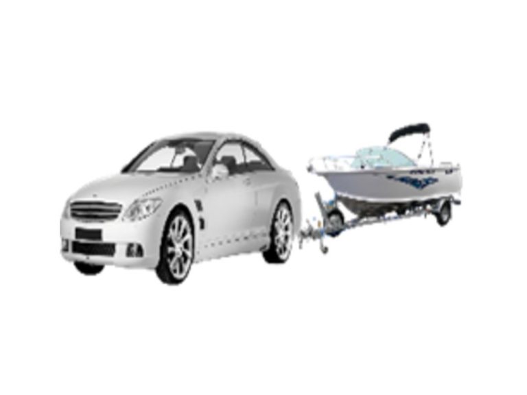 A Complete Guide to LTO Driver’s License Codes (DL Codes) and Condition ...