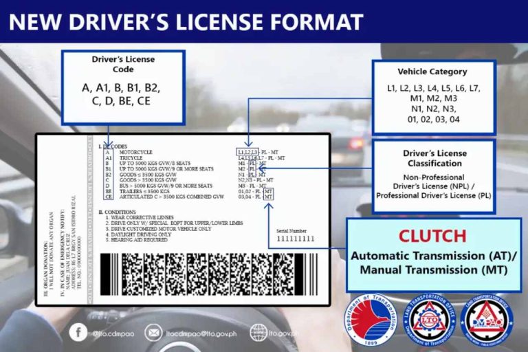 A Complete Guide to LTO Driver’s License Codes (DL Codes) and Condition ...
